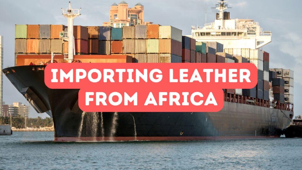 Importing Leather from Africa - Istanbul Africa Trade Company
